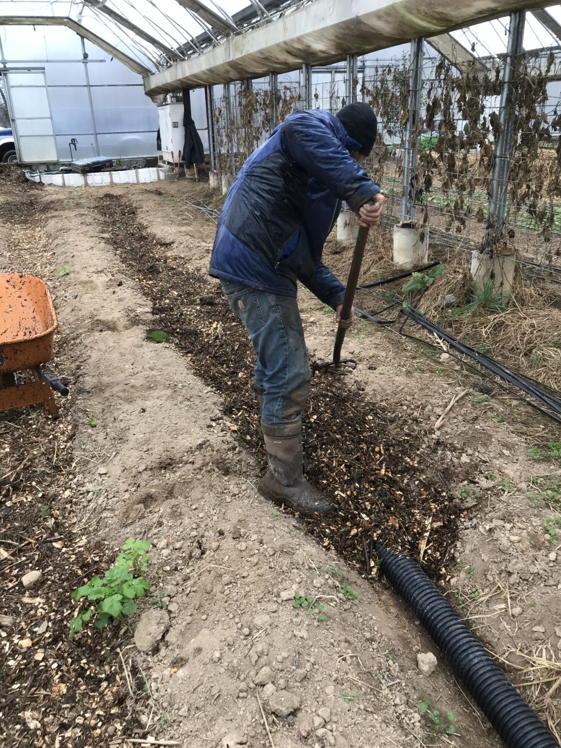 A Deep Dive into Subsurface Irrigation | Living Web Farms