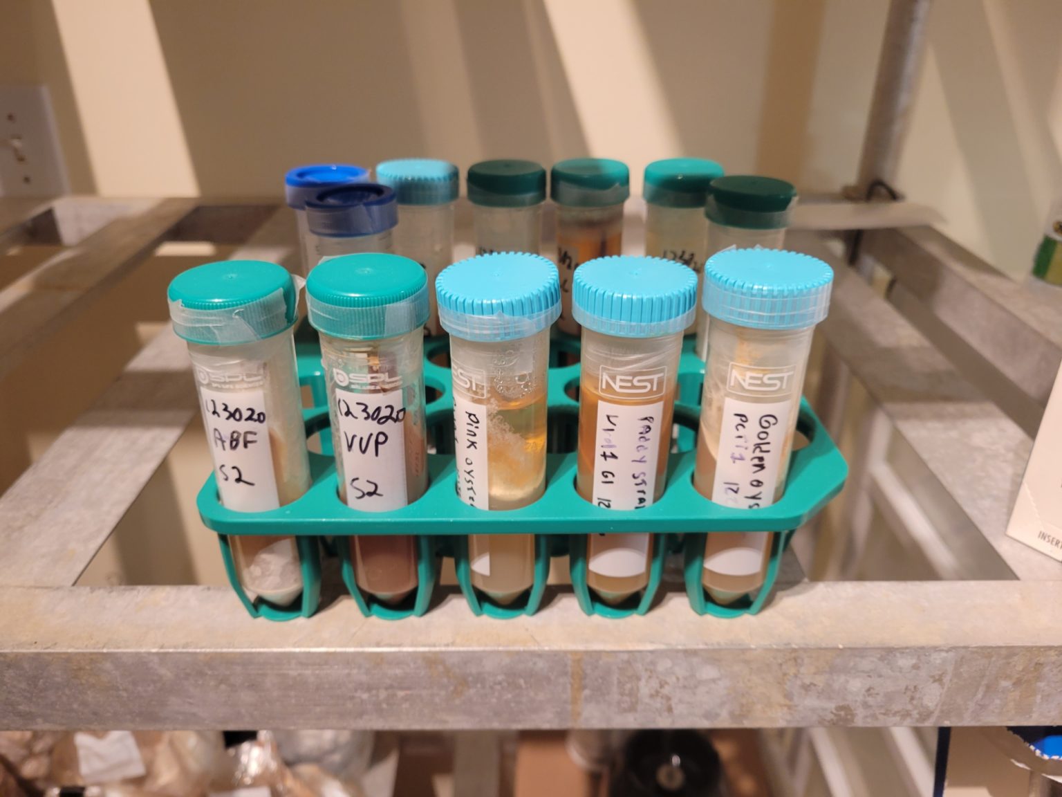 Blog | Living Web Farms | We Build LIFE!