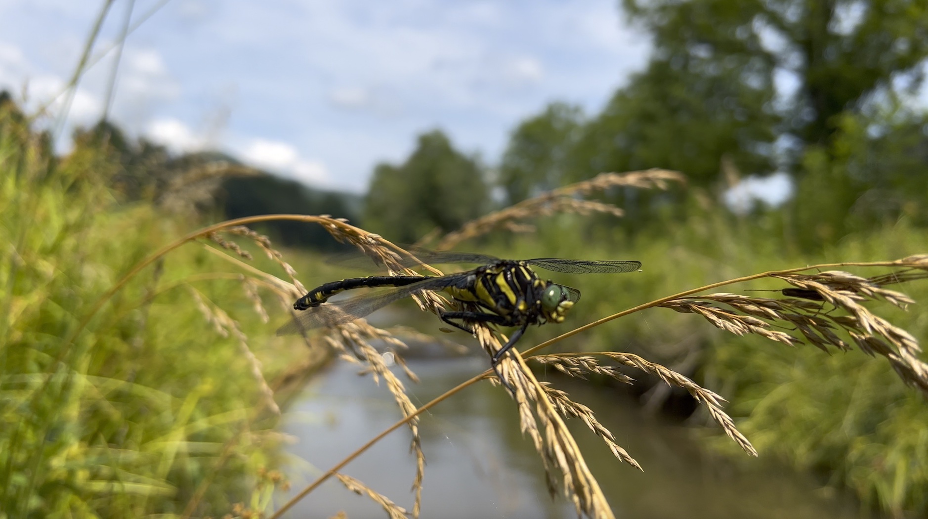 Untitled 3 | Living Web Farms